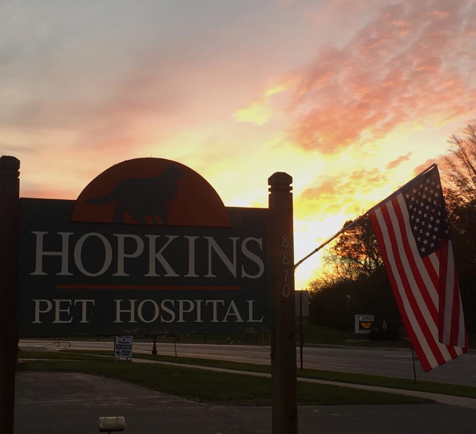 Hopkins Pet Hospital